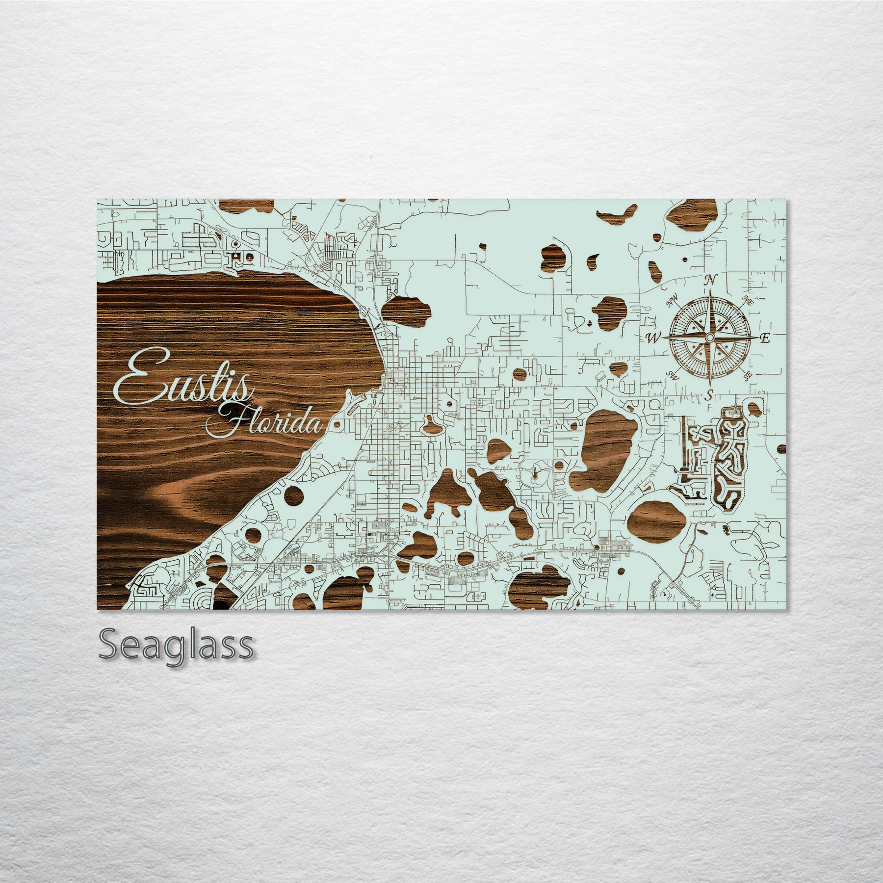 Eustis, Florida Street Map