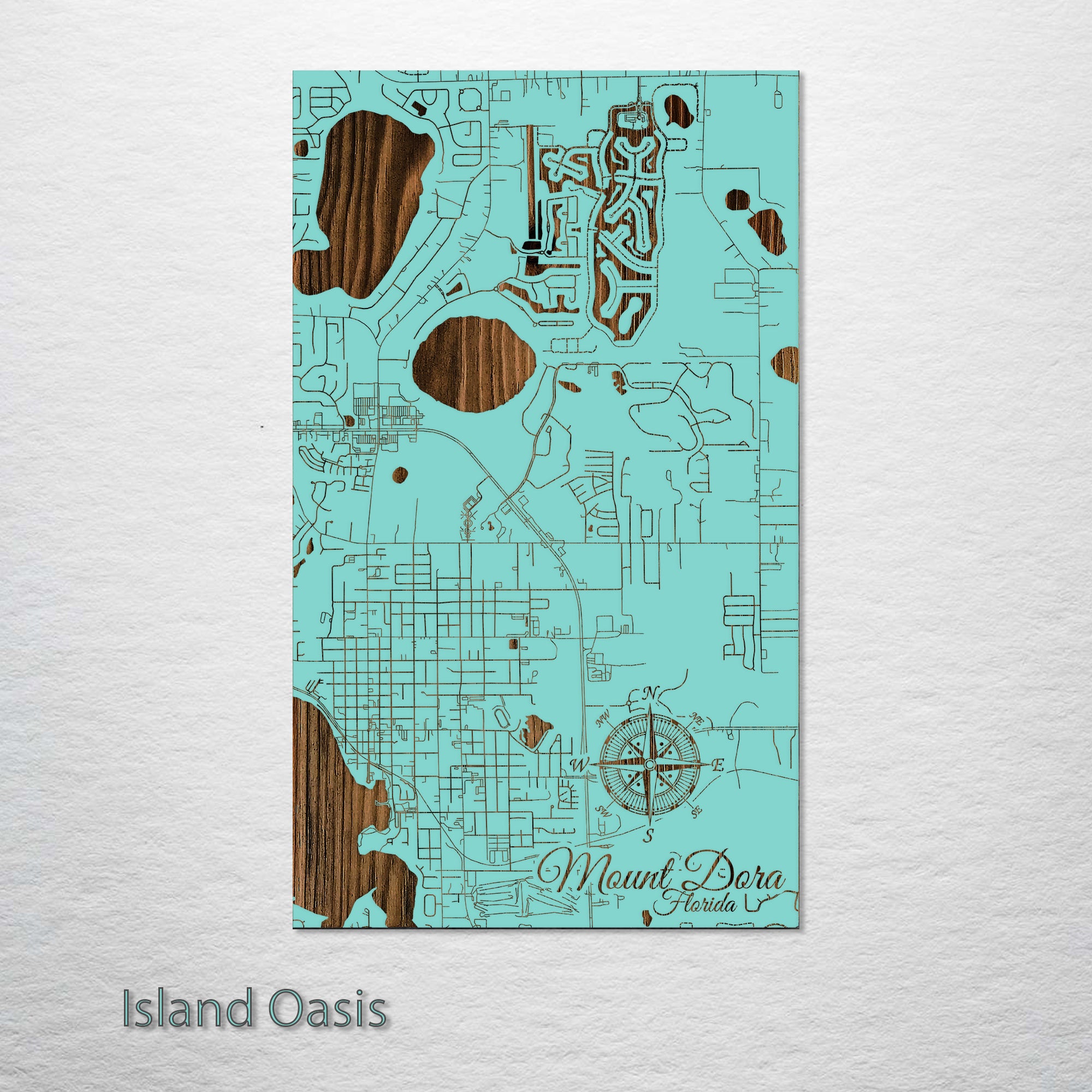 Mount Dora, Florida Street Map – Fire & Pine