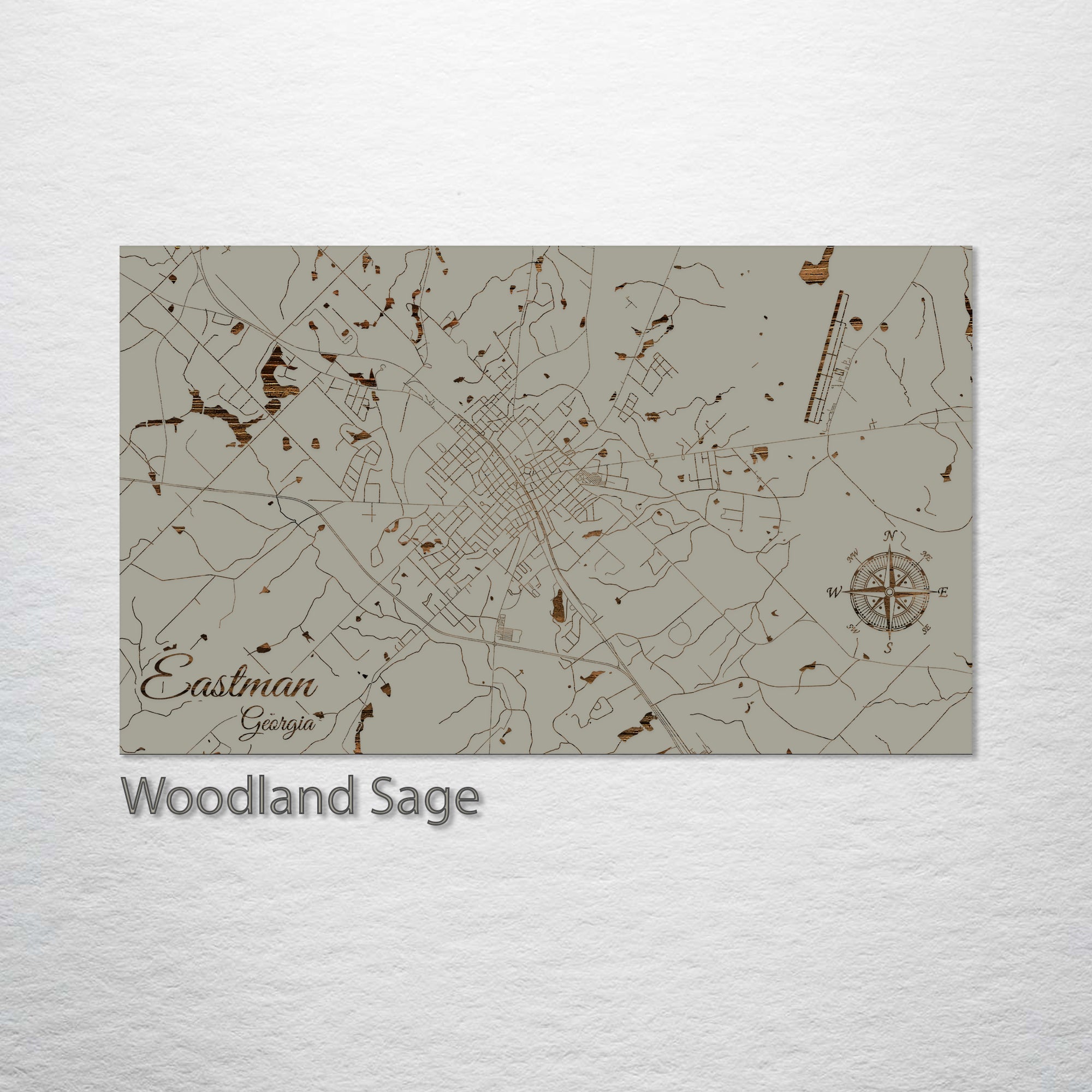 Eastman, Georgia Street Map – Fire & Pine