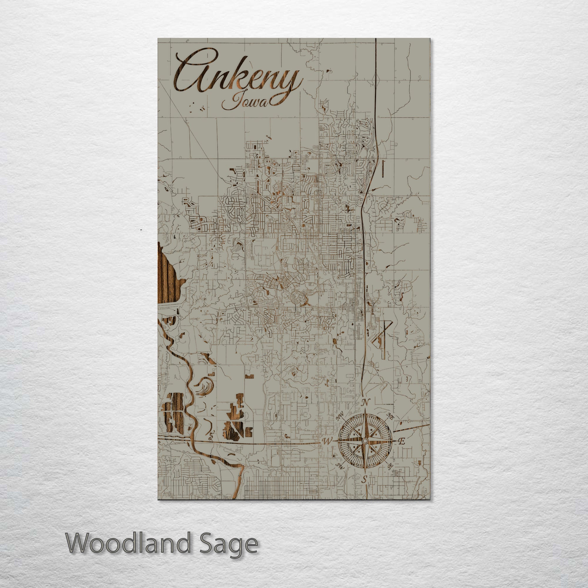Ankeny, Iowa Street Map – Fire & Pine