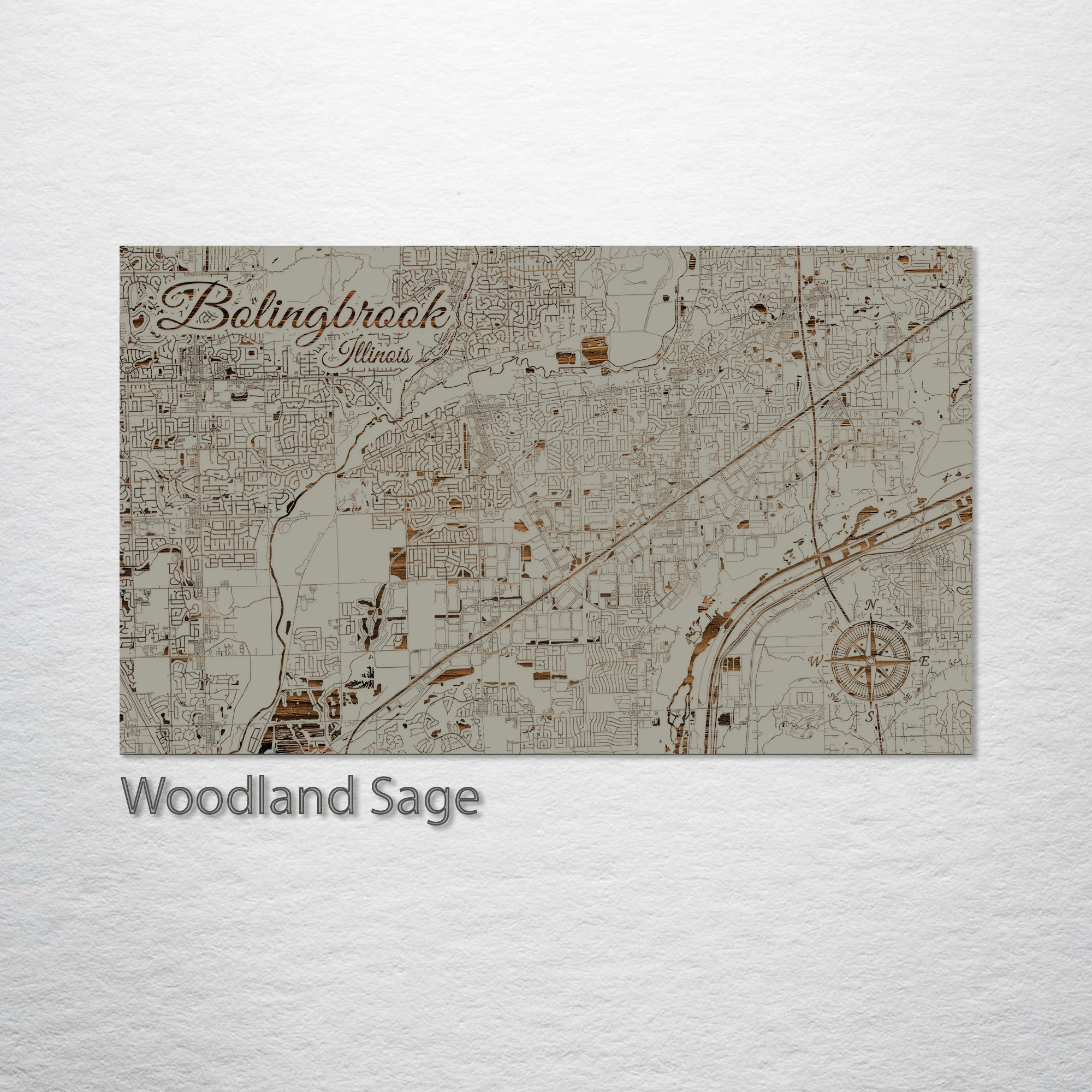 Bolingbrook, Illinois Street Map – Fire & Pine