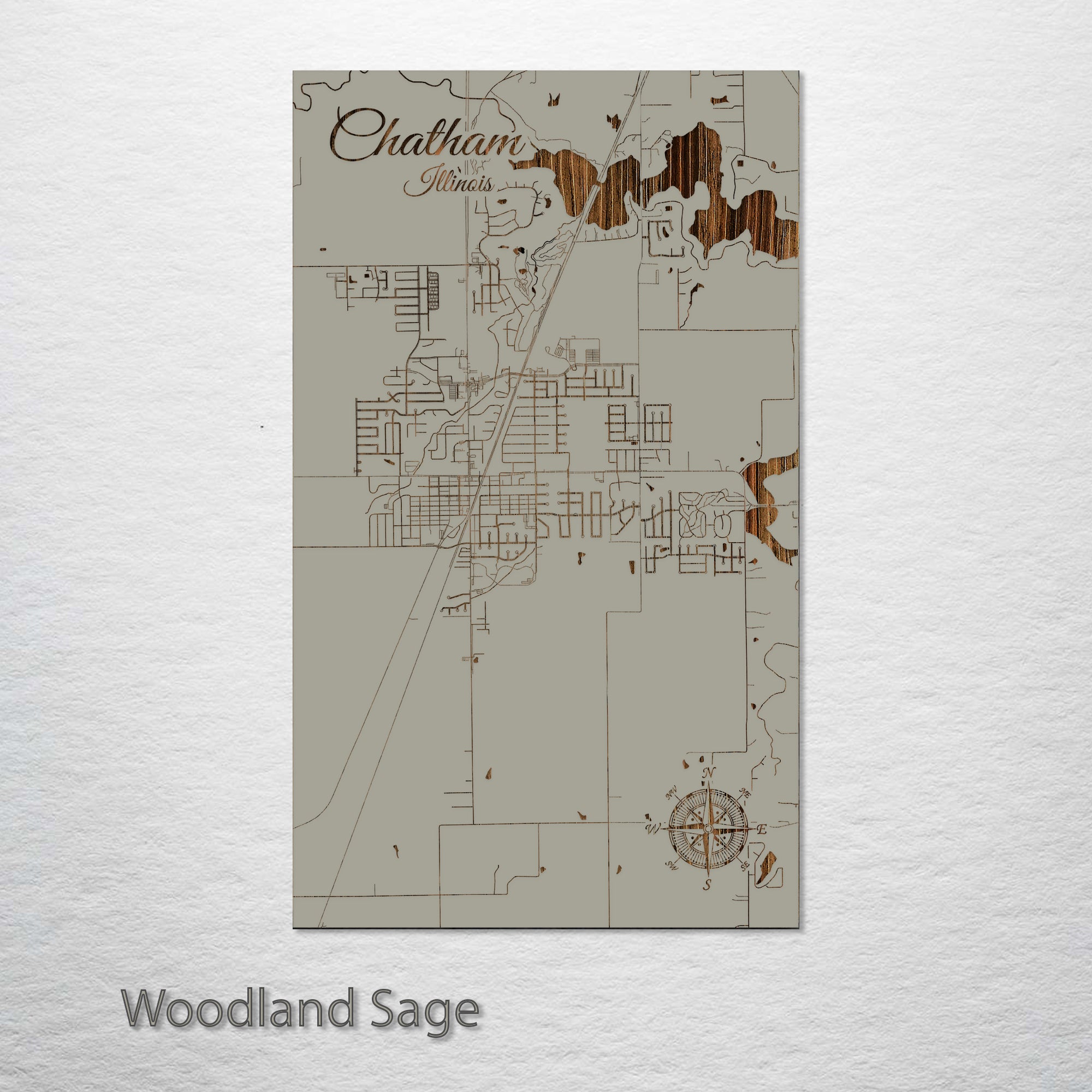 Chatham, Illinois Street Map – Fire & Pine