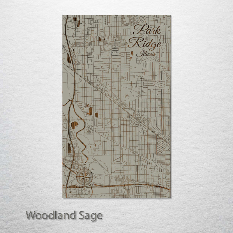 Park Ridge, Illinois Street Map – Fire & Pine