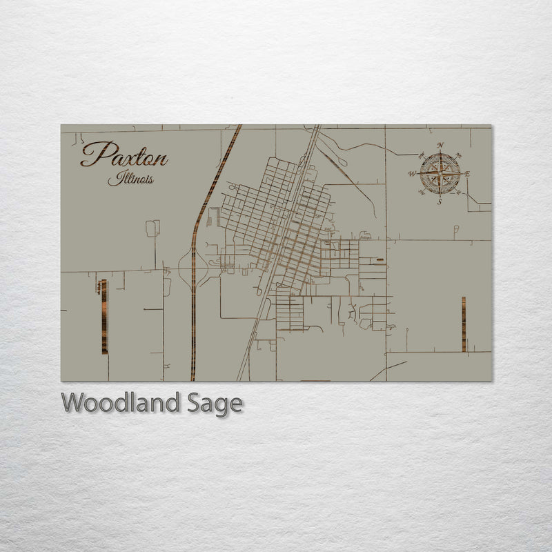 Paxton, Illinois Street Map – Fire & Pine