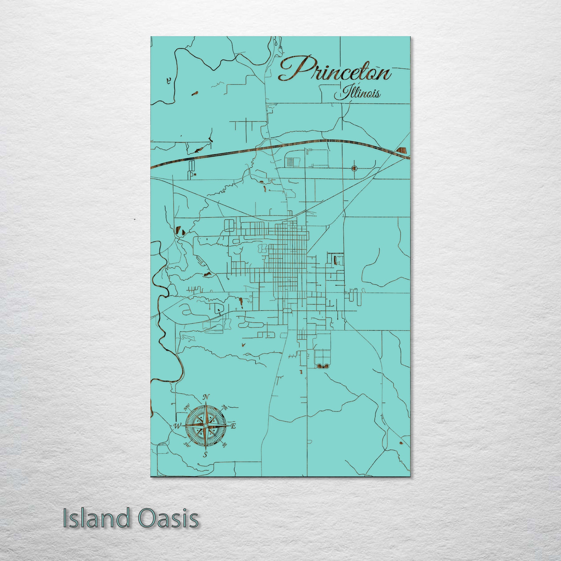 Princeton, Illinois Street Map