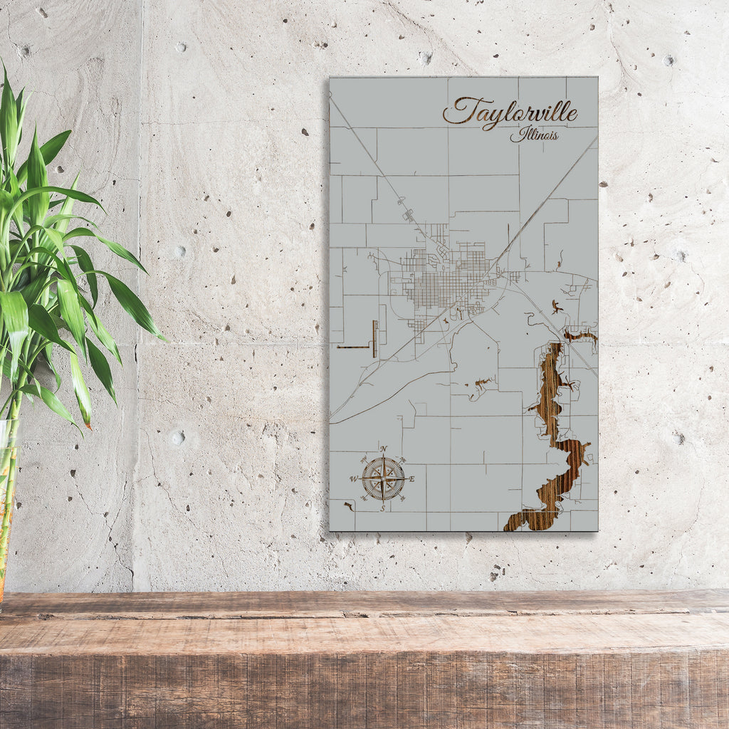 Taylorville, Illinois Street Map – Fire & Pine