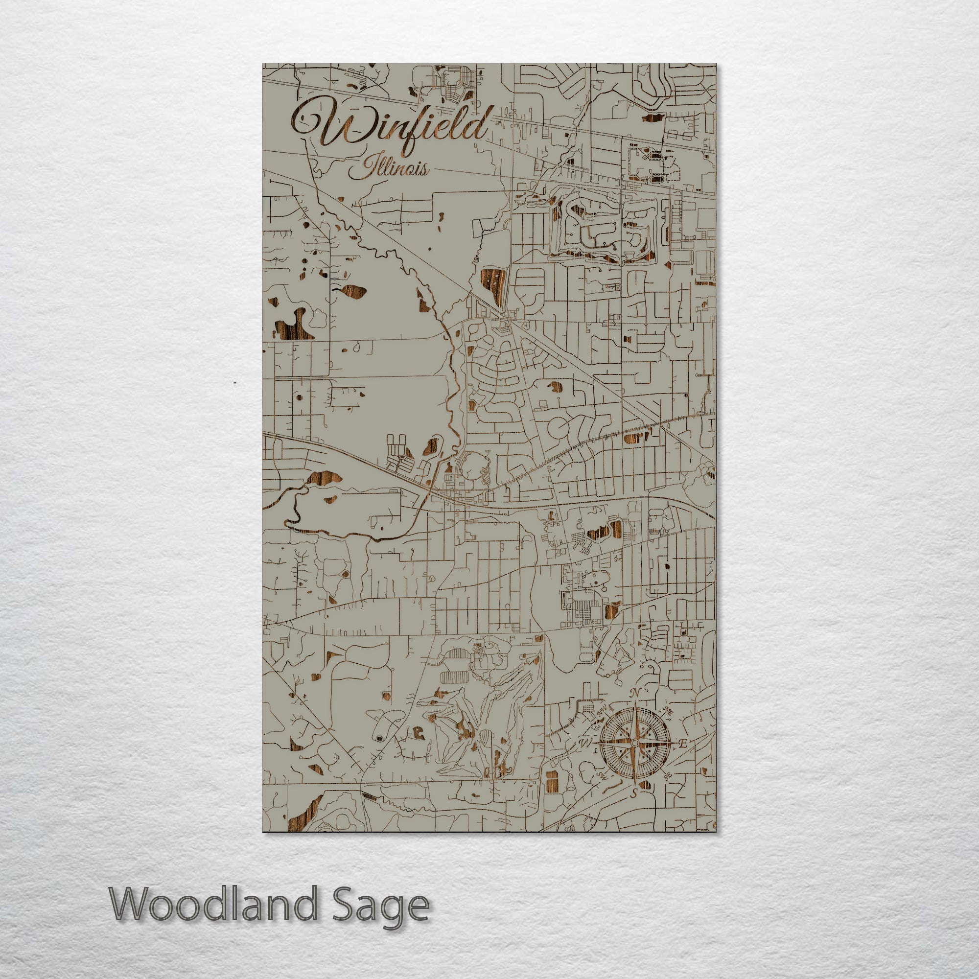 Winfield, Illinois Street Map – Fire & Pine