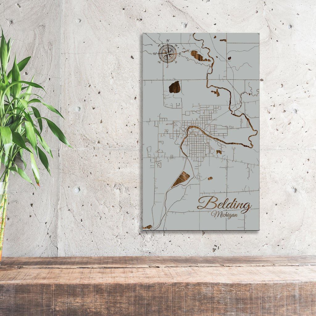 Belding, Michigan Street Map – Fire & Pine