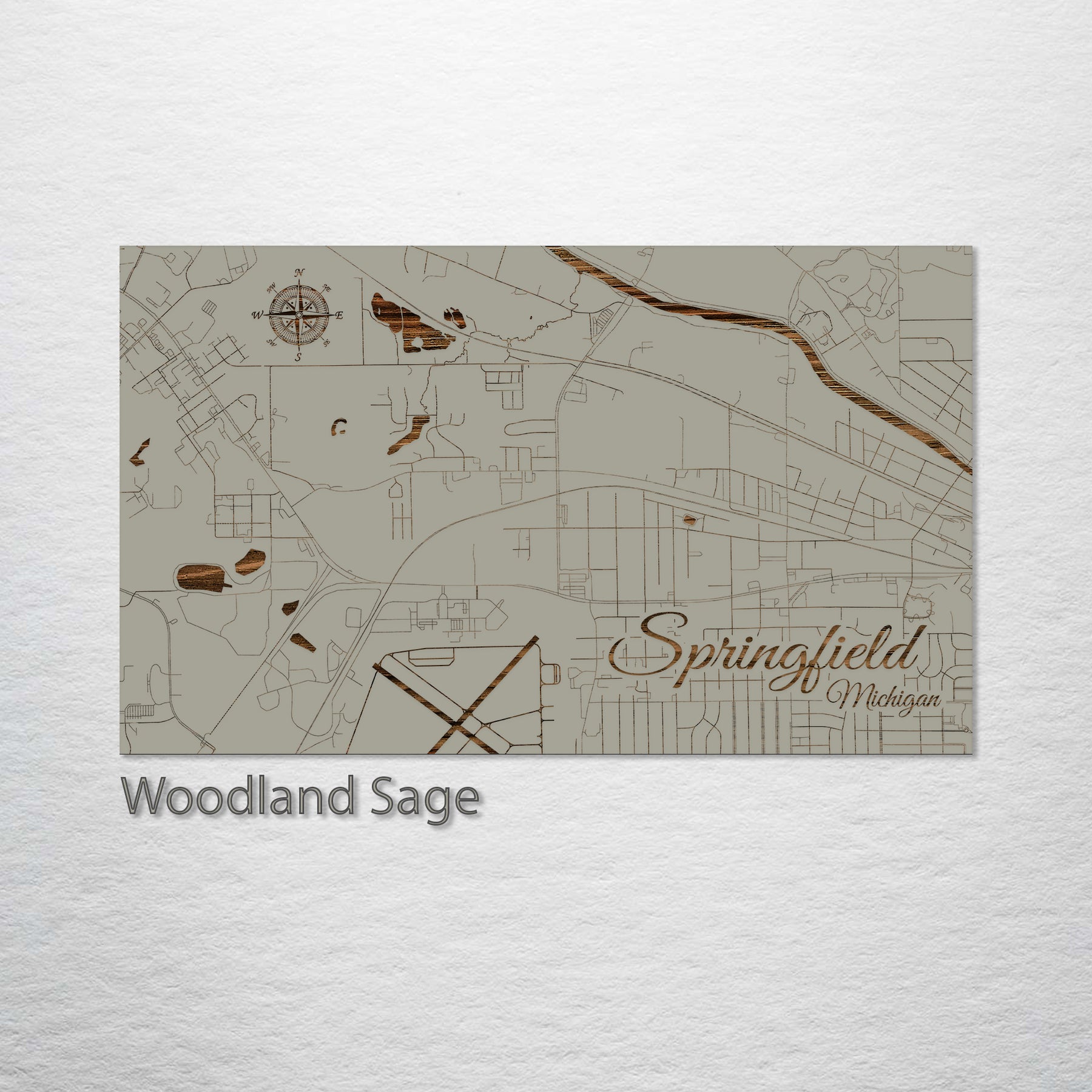Springfield, Michigan Street Map