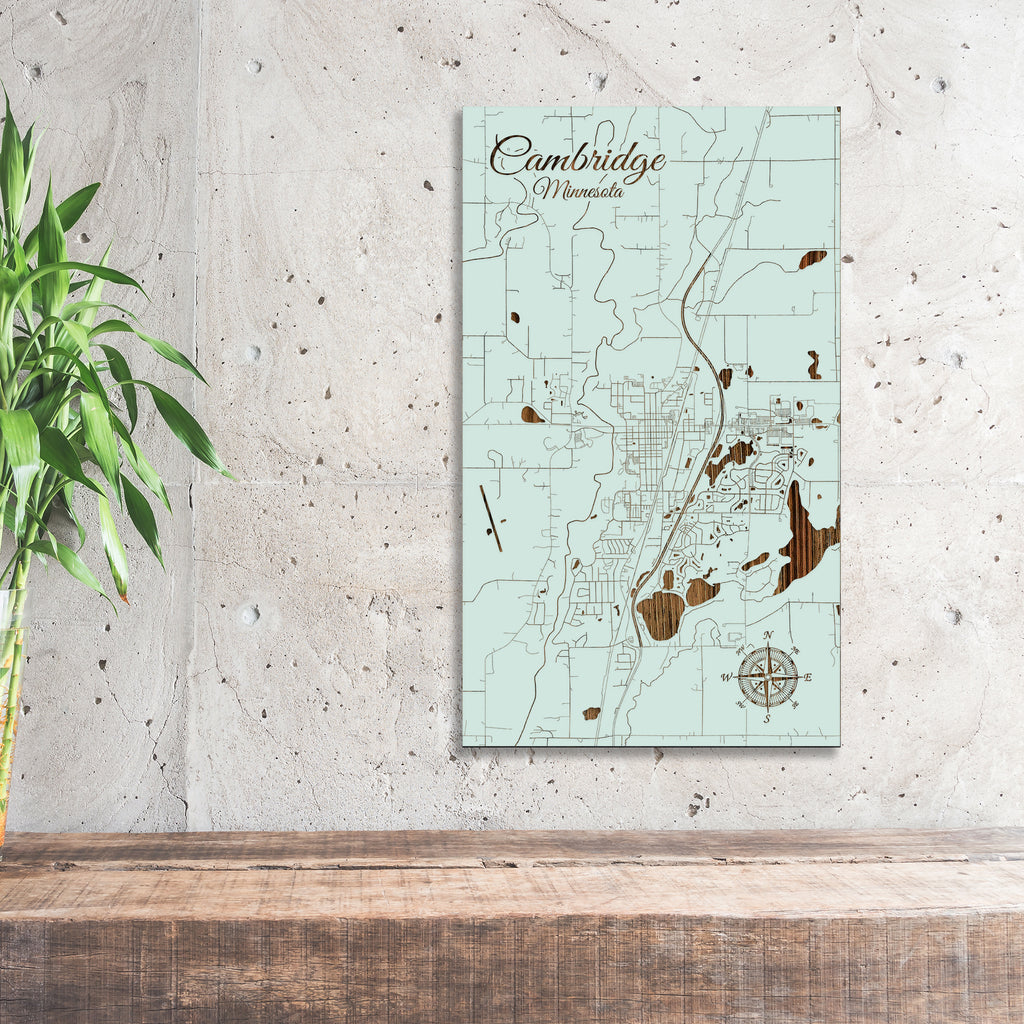 Cambridge, Minnesota Street Map – Fire & Pine