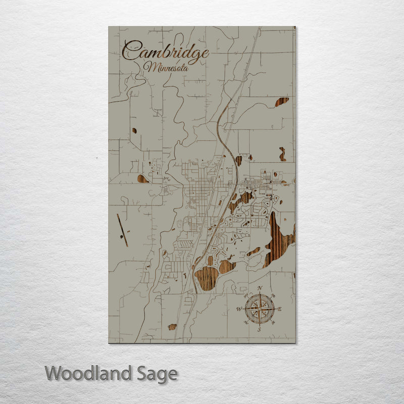 Cambridge, Minnesota Street Map – Fire & Pine