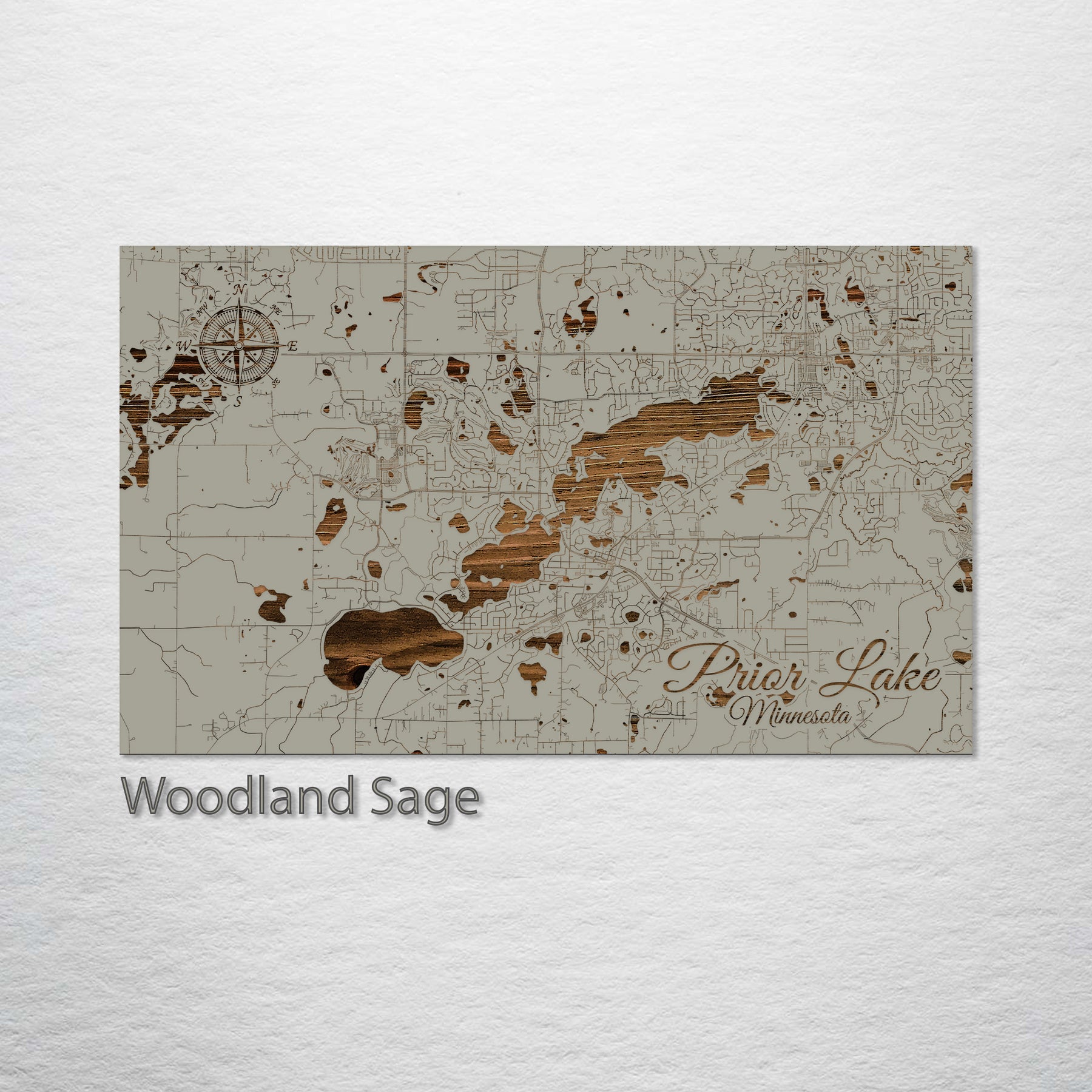 Prior Lake, Minnesota Street Map