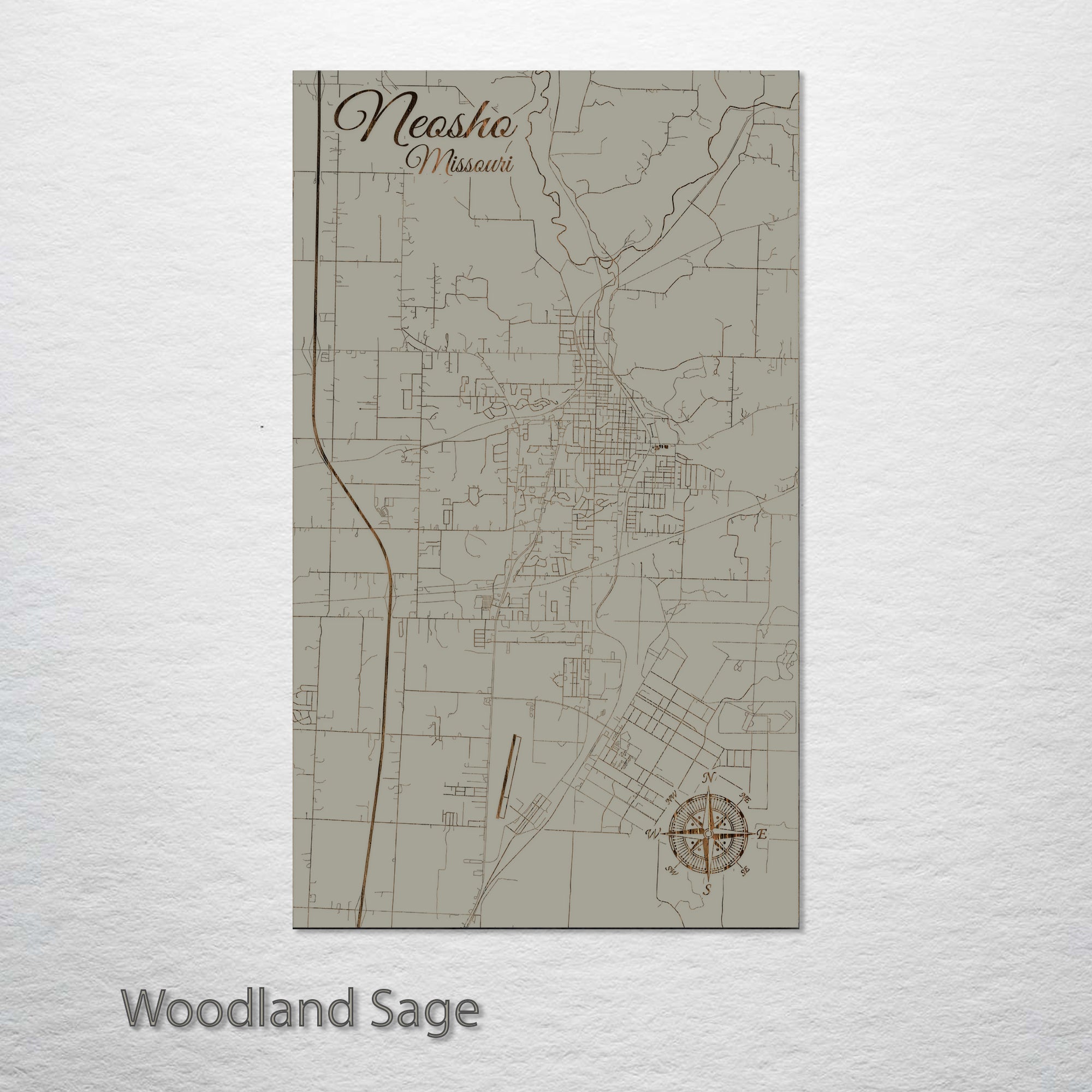 Neosho, Missouri Street Map – Fire & Pine