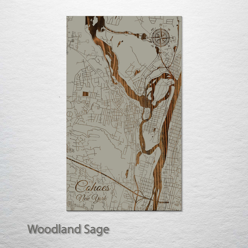 Cohoes, New York Street Map – Fire & Pine