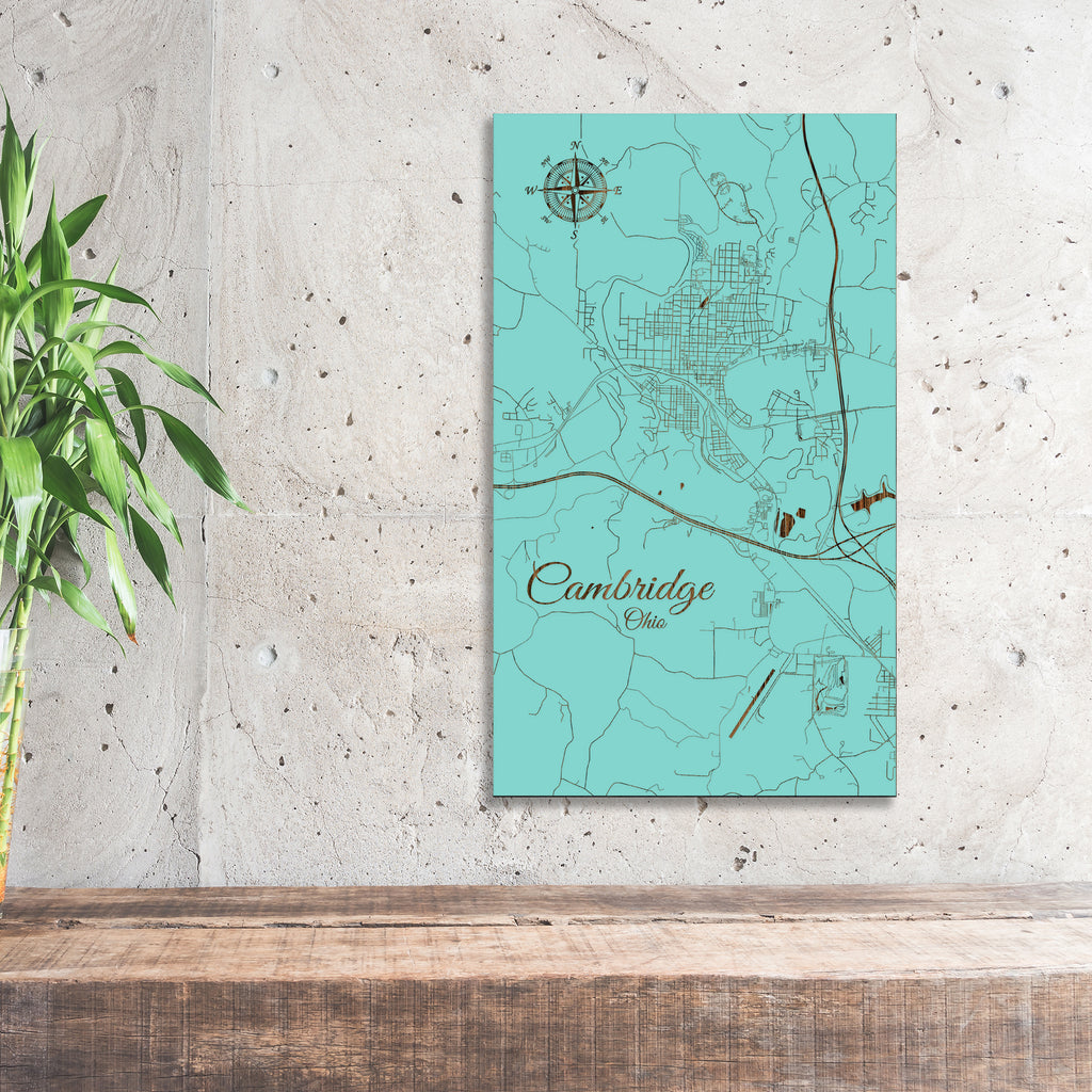 Cambridge, Ohio Street Map – Fire & Pine
