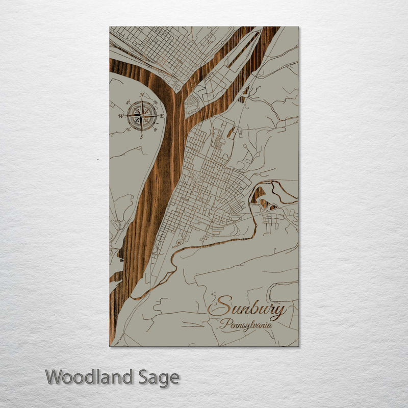 Sunbury, Pennsylvania Street Map – Fire & Pine