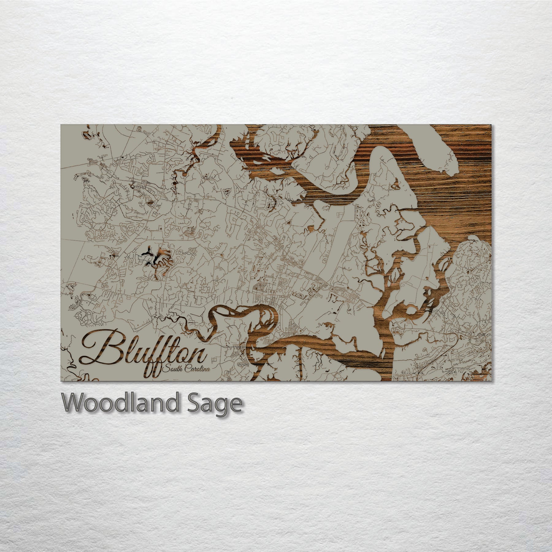 Bluffton, South Carolina Street Map
