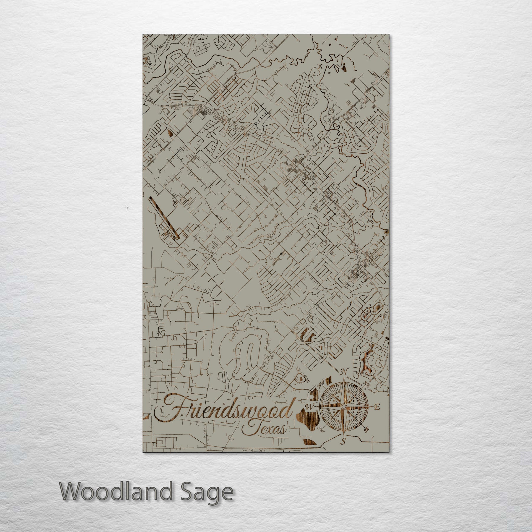 Friendswood, Texas Street Map